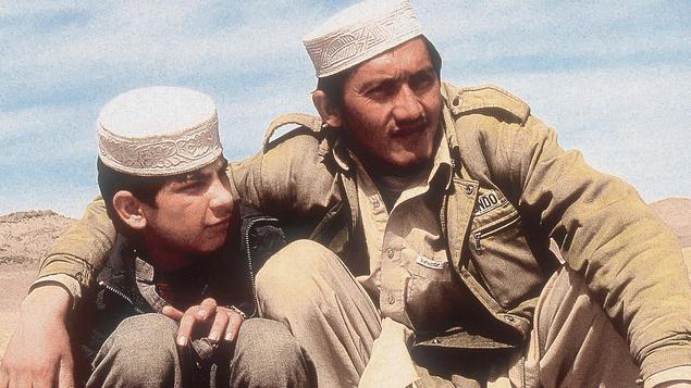 Moving people, moving films - DMovies